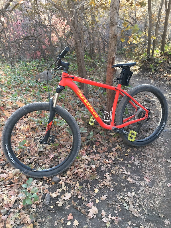 2017 Salsa Timberjack For Sale