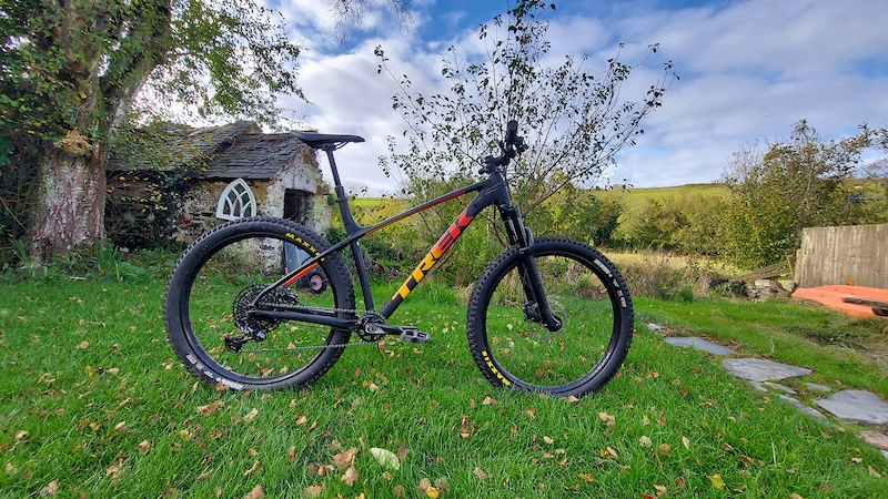 2021 XL Trek Roscoe 8 For Sale