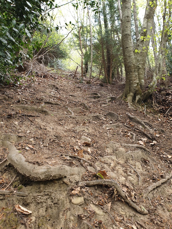 Anthony Line Mountain Biking Trail - Logroño