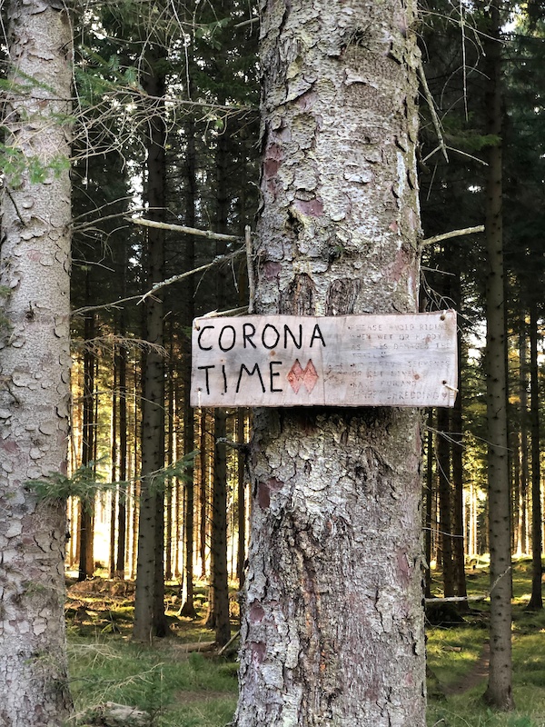 Corona Time (Lower) Mountain Biking Trail - Banchory
