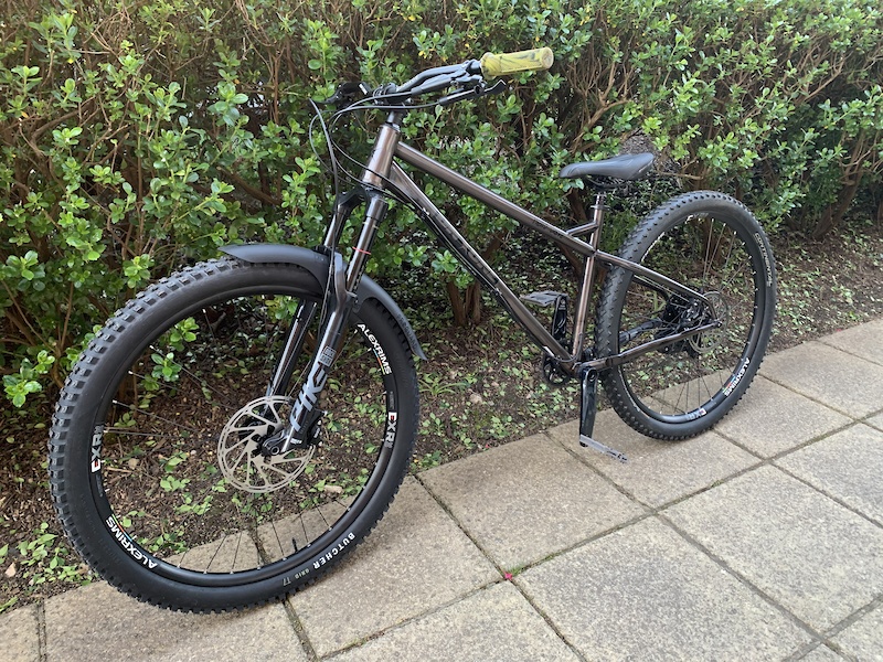 2021 Hello Dave For Sale