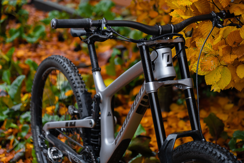 2020 Propain Rage CF 29 For Sale