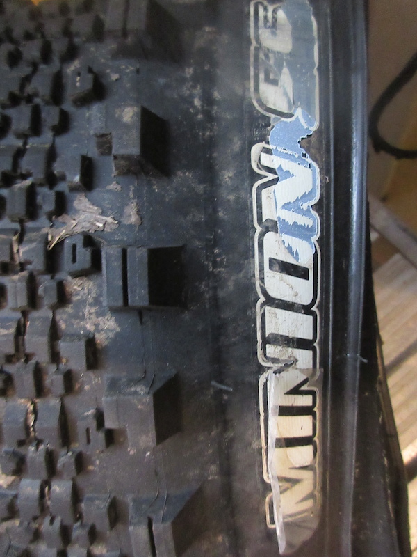 Maxxis Minion SS For Sale