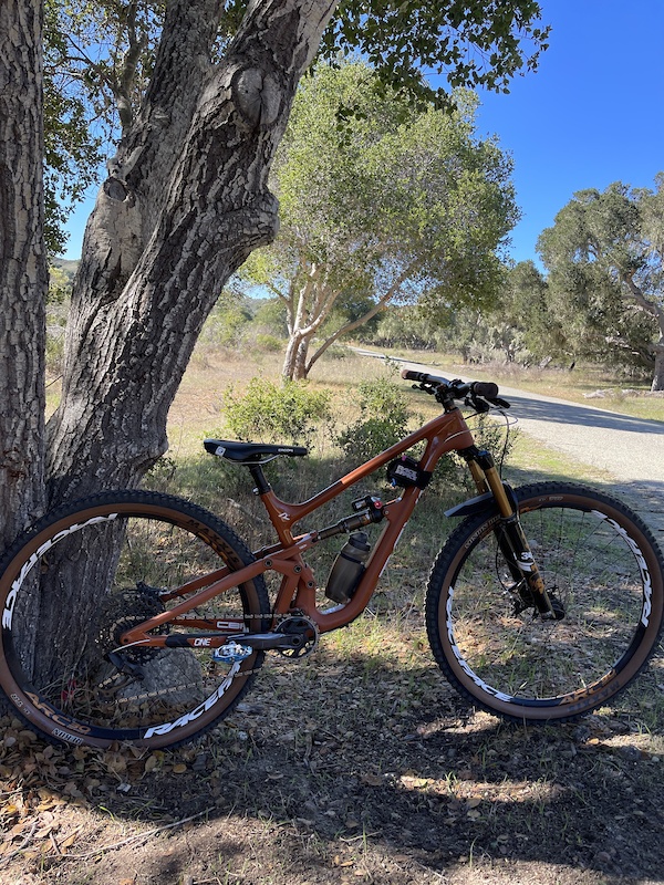 2021 Revel rascal M custom build For Sale