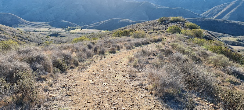 1 Boney Coyote Loop Trail Running Route | Trailforks