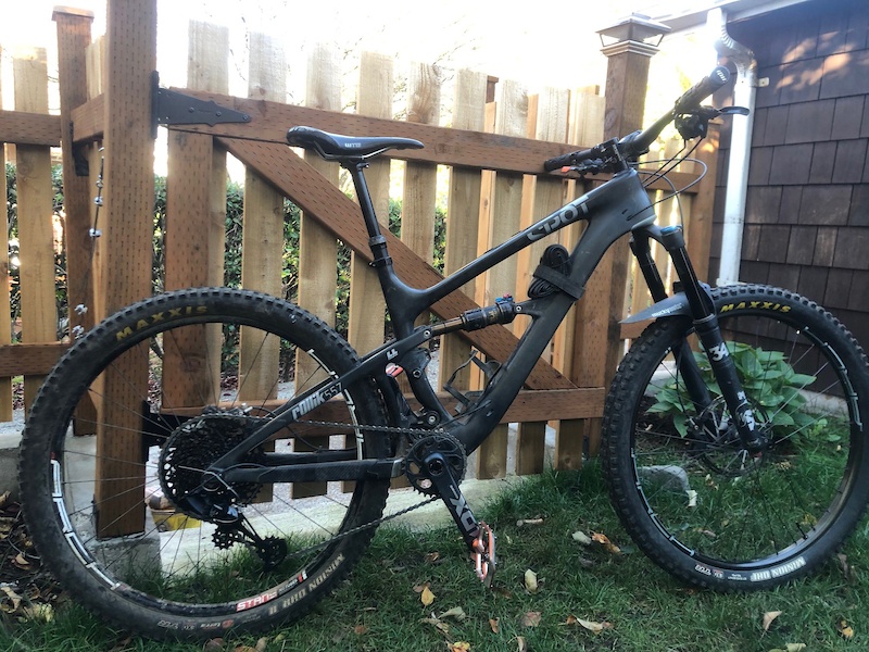 2016 Spot Rollik 557 - MEDIUM For Sale