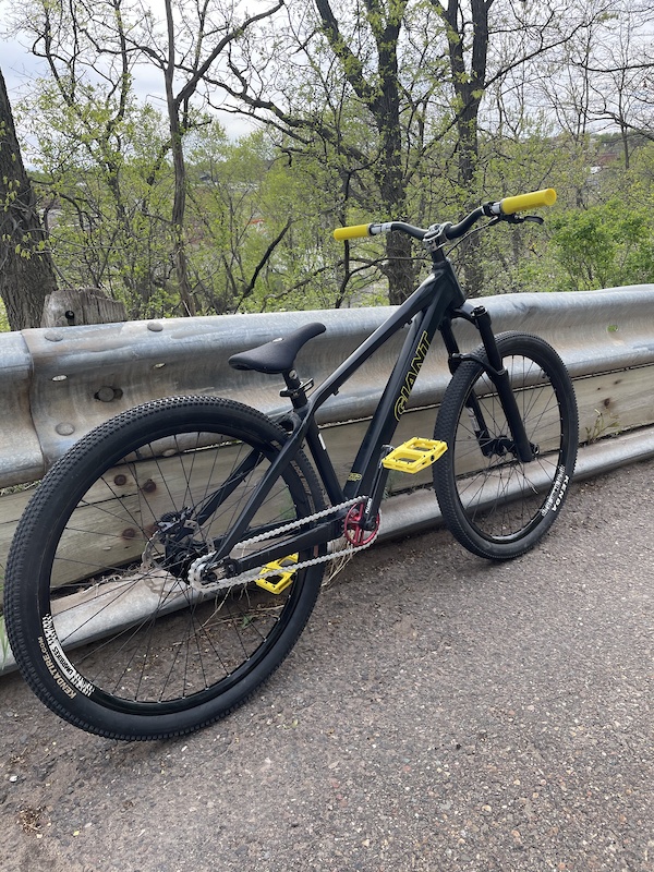 Giant STP custom For Sale