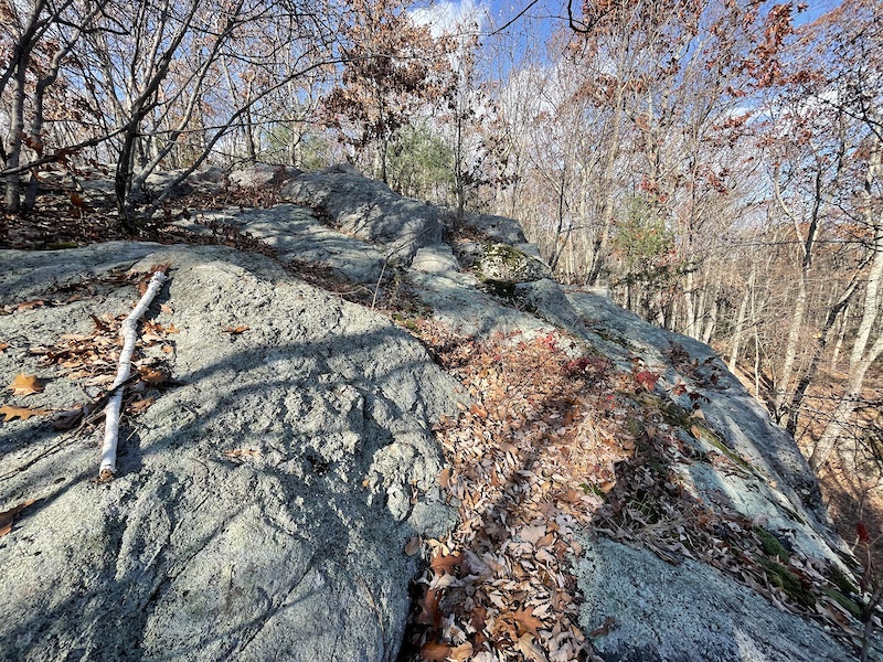 Diamond Ledge Cliff Trail Hiking Trail - Granby, CT