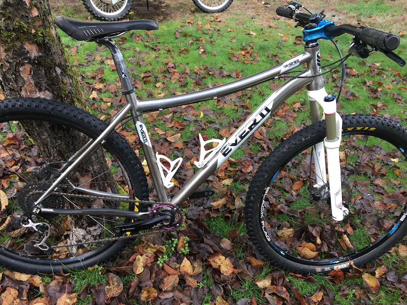 2010 Everti titanium 29er For Sale