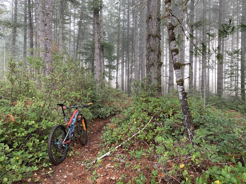 Tahuya State Forest, Bremerton Mountain Biking Trails | Trailforks