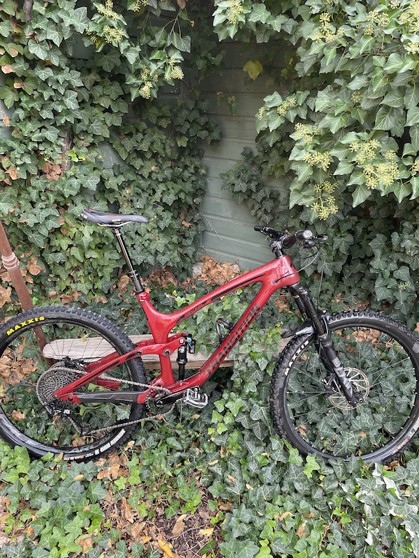 2019 Transitional Sentinel - Carbon XL For Sale