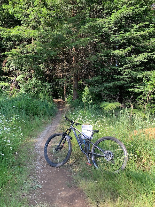 Snake Mountain Biking Trail - Hamilton | Trailforks