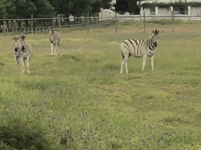 Game Farm Mountain Biking Trail - Raithby | Trailforks
