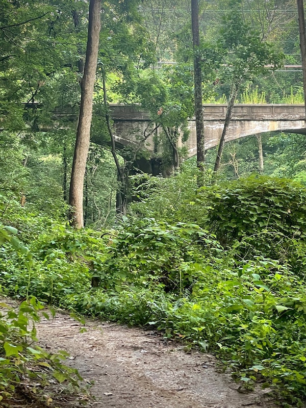 Silver Spring, Maryland Mountain Biking Trails | Trailforks