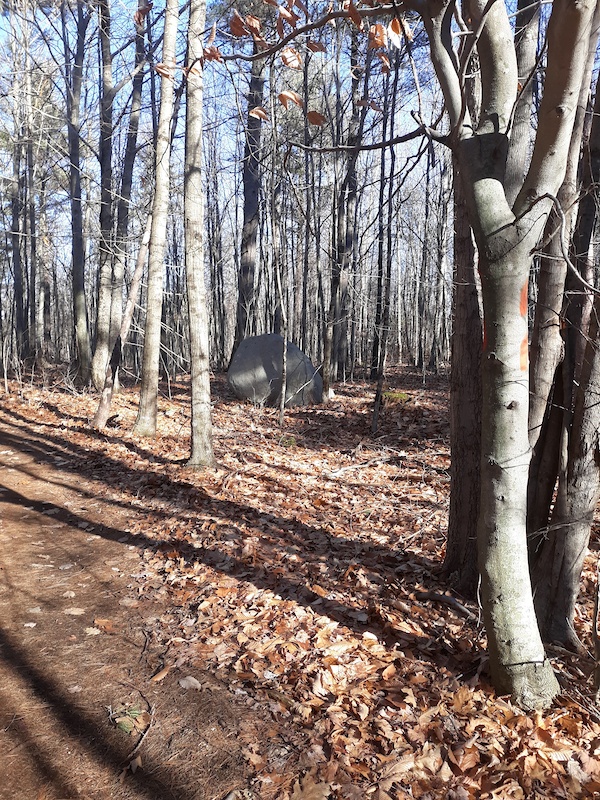 Baltimore Canyon and King Mountain Preserve, Larkspur Mountain Biking ...