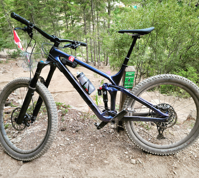 2021 TREK REMEDY 9.8 Carbon For Sale