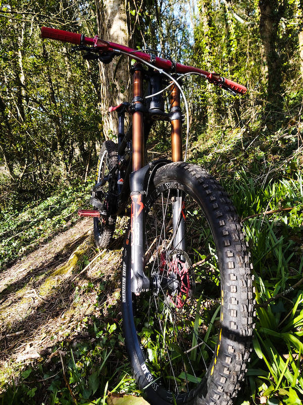 2017 Banshee darkside custom build For Sale