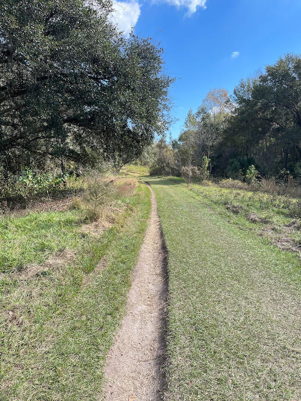 Turtle Two Track Multi Trail - Lithia, Florida