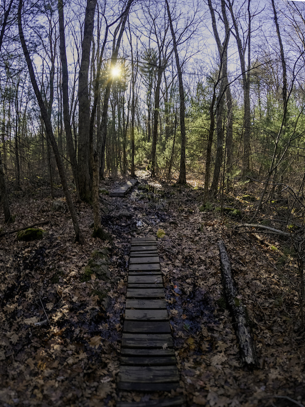 Northside Horseshoe Mountain Biking Trail - Georgetown