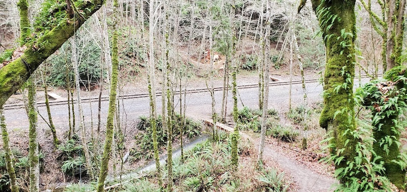 Sumas Mountain Area, Nooksack Mountain Biking Trails | Trailforks