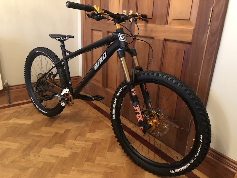 2020 Bird zero am For Sale