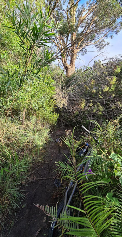 Popeye Mountain Biking Trail - Manly Dam, Sydney