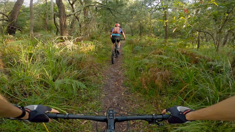 Heads to Beach Rd Trail Mountain Biking Trail - Nowra