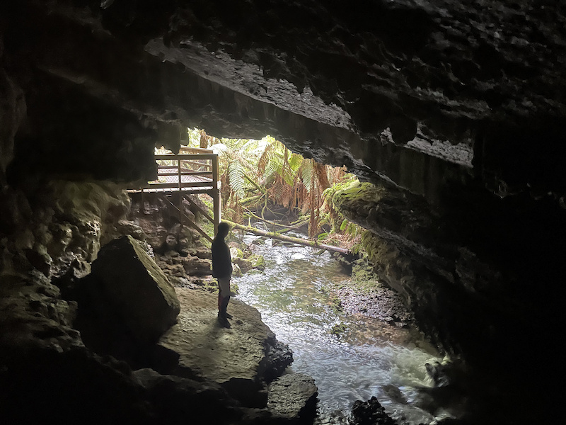 Junee river rd to Junee Cave Multi Trail - | Trailforks