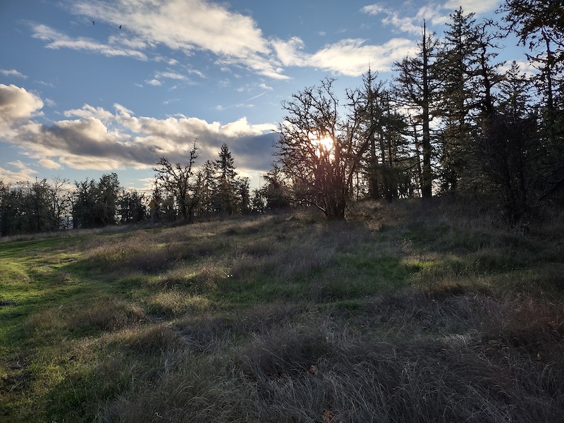 Basalt Rim Mountain Biking Trail - Springfield, Oregon