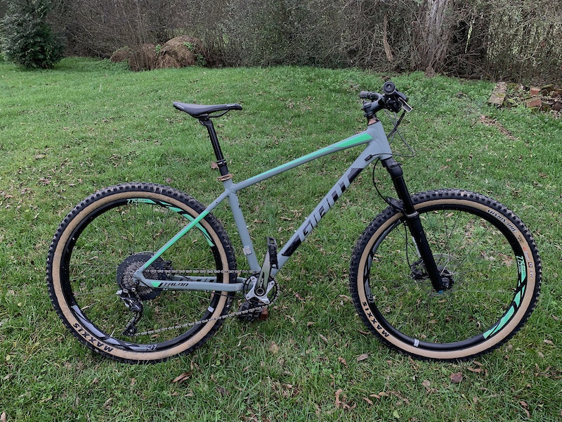 2020 Custom Giant talon For Sale