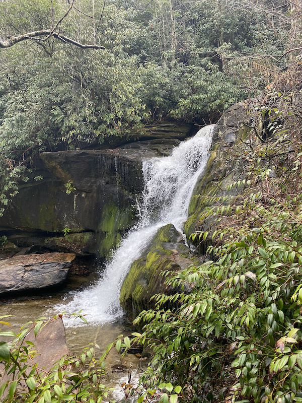 Cat Gap Loop Hiking Trail - Brevard, North Carolina