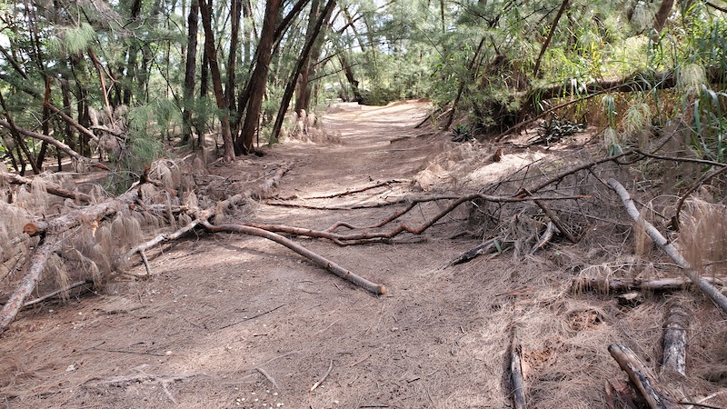 Strangler Fig Mountain Biking Trail - North Miami Beach