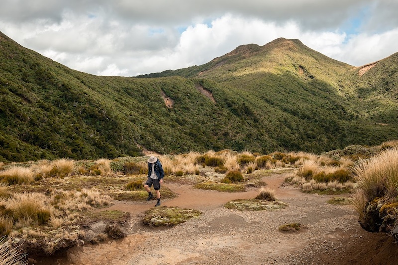 Kaiauai Track Hiking Trail - Taranaki | Trailforks
