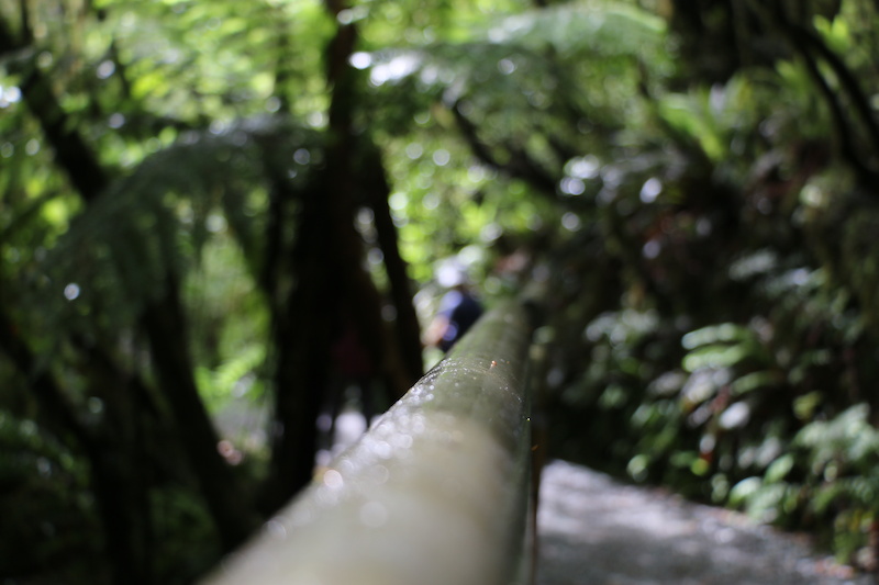 The Chasm Walk Hiking Trail - Southland | Trailforks