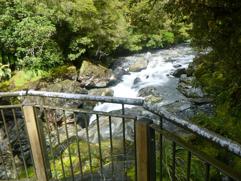 The Chasm Walk Hiking Trail - Southland | Trailforks