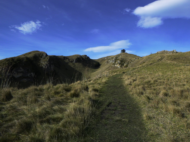 Rongokako Trail Hiking Trail - Havelock North