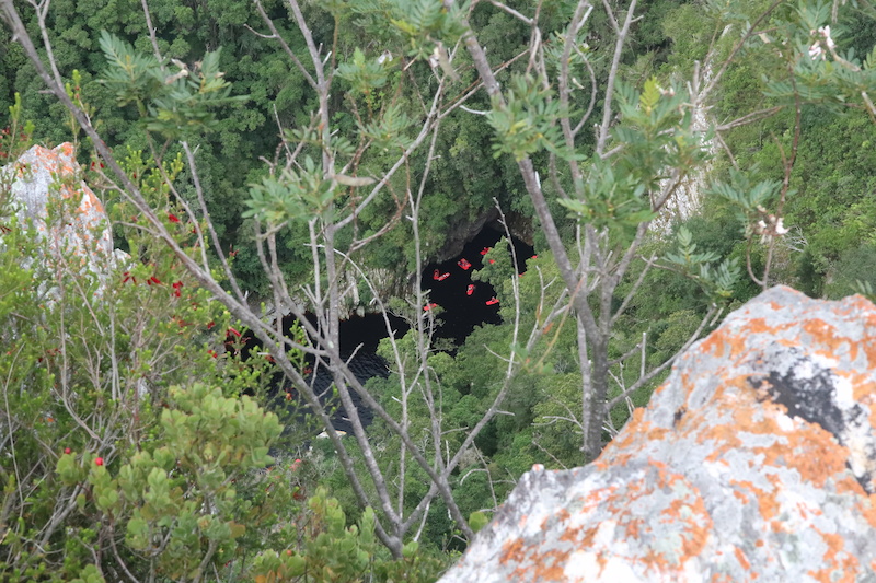 MMR Orange Route Mountain Biking Route | Trailforks