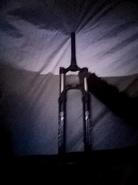 Fox evolution series fox forks For Sale