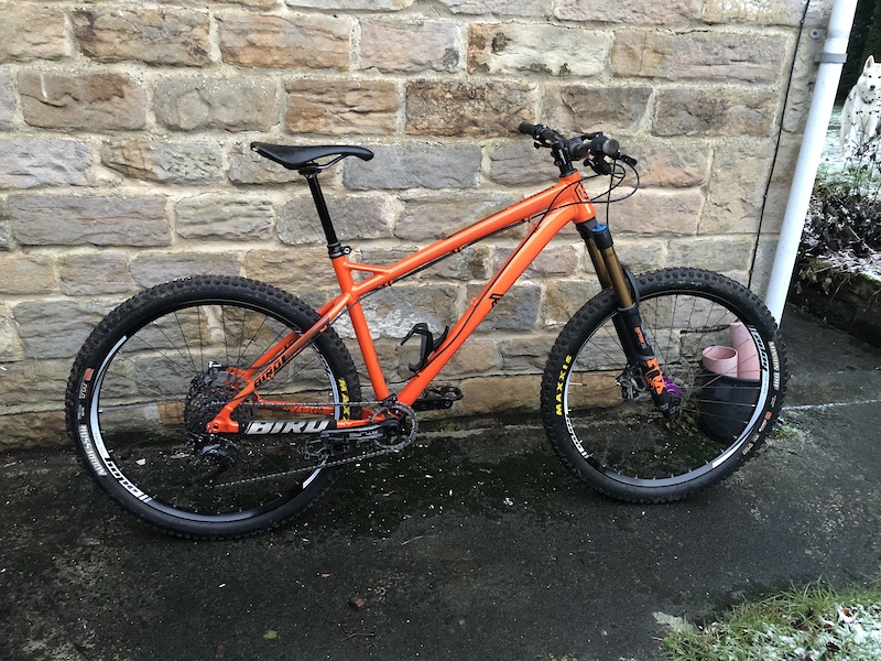 2017 Bird Zero AM (Large) For Sale