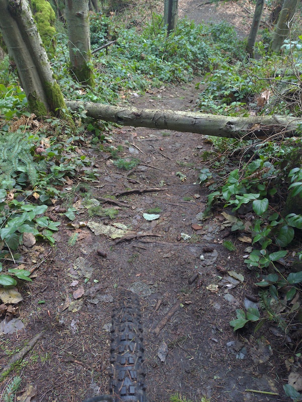 BUDU Dash Point 2021 Mountain Biking Route | Trailforks