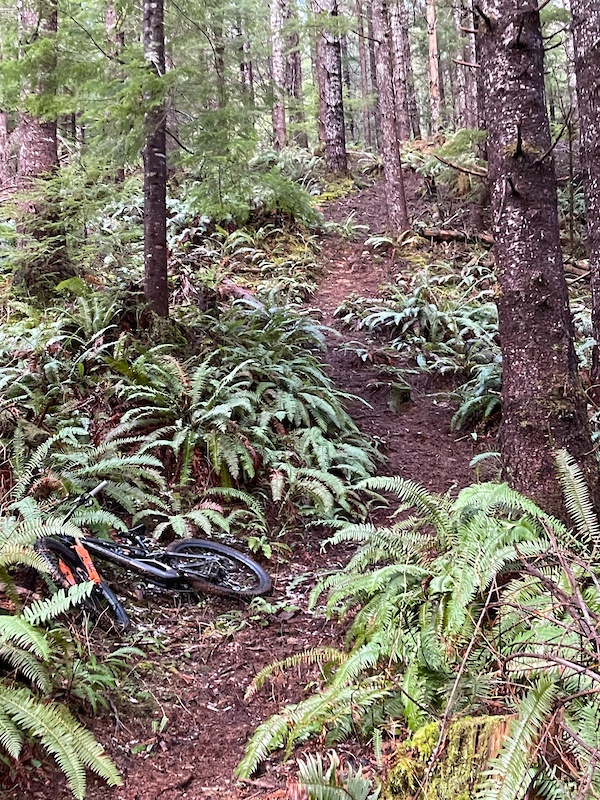 Vampire Hunter Enduro (MTB Strava) Mountain Biking Route | Trailforks