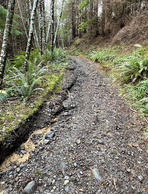#3 Climb and/or Decent Track Multi Trail - Forks, WA