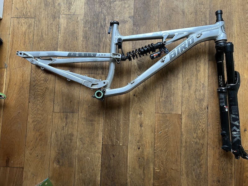 2019 Bird AM9 For Sale