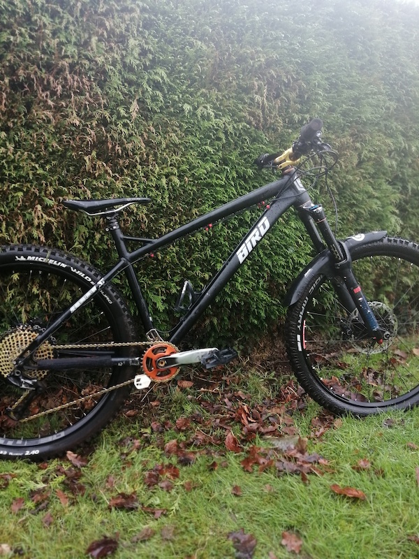 2020 Bird zero need gone For Sale