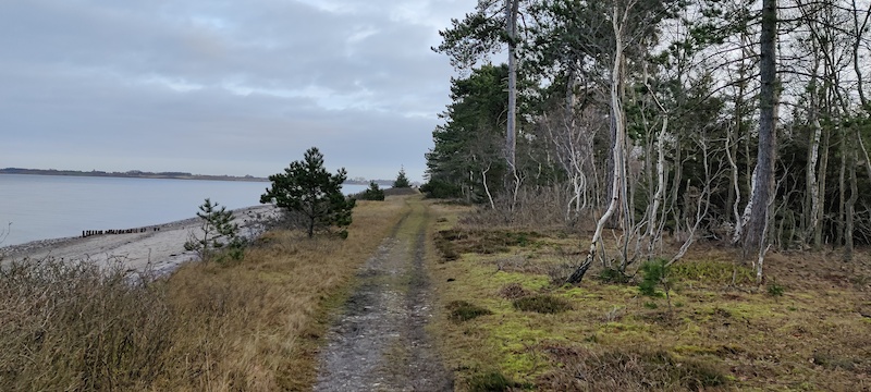 Hasmark Strand, Denmark Mountain Biking Trails | Trailforks
