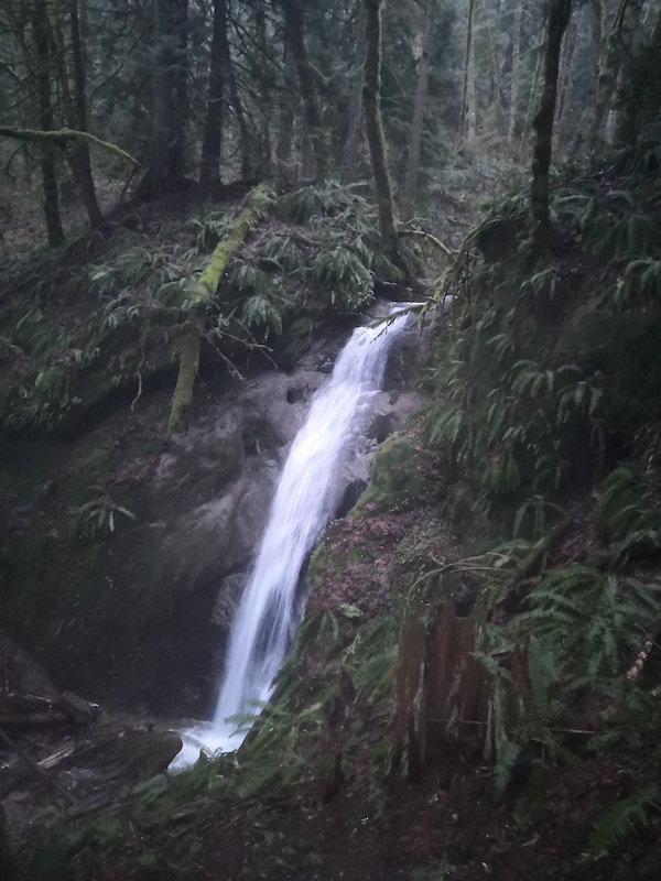 Chuckanut Falls Viewpoint Trail Hiking Trail - Bellingham