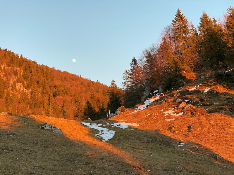 Sentiero Panoramico Hiking Trail - | Trailforks