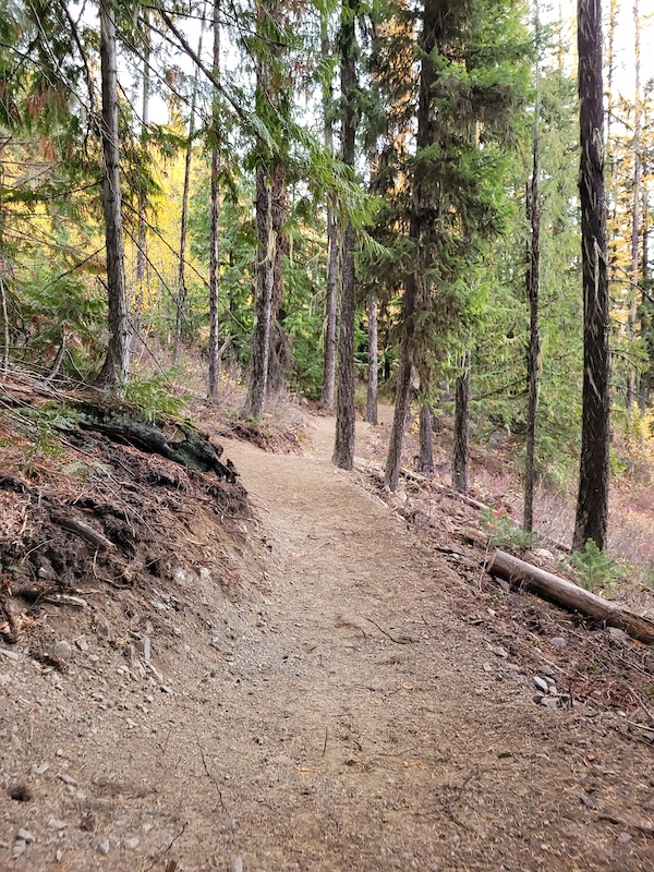 Kaslo Interpretive Forest Recreation Area, Kaslo Mountain Biking Trails ...