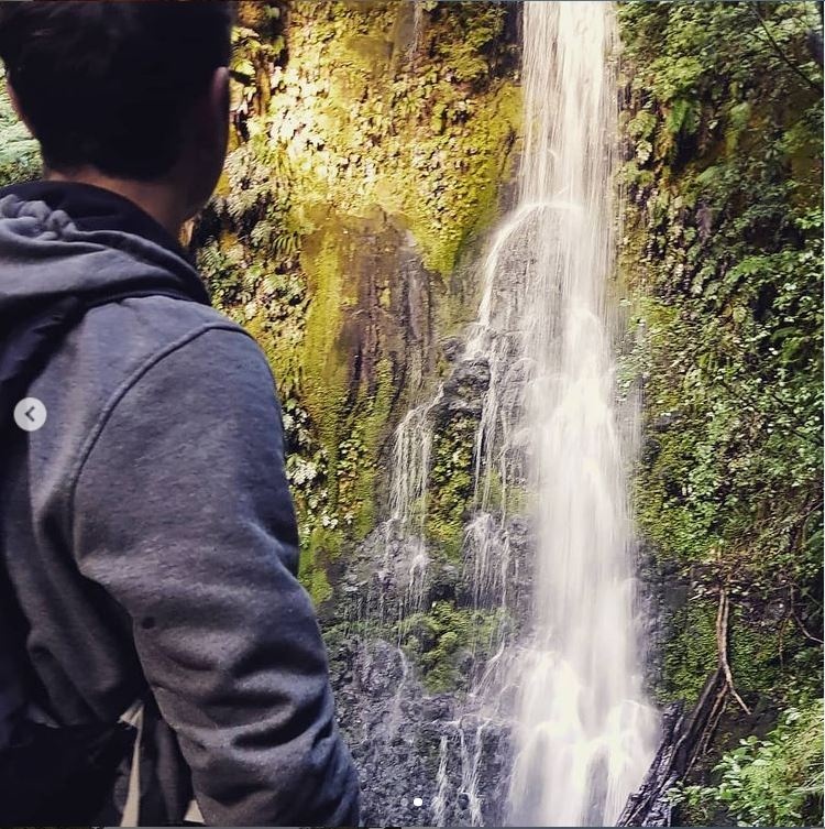 Maude Track Hiking Trail - Taranaki | Trailforks