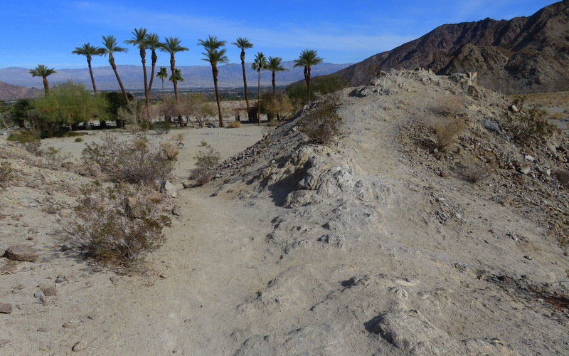 Bear Creek Canyon Oasis Trail Mountain Biking Trail - La Quinta